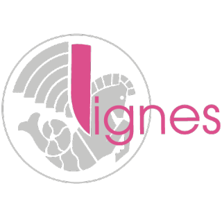 CSE Lignes